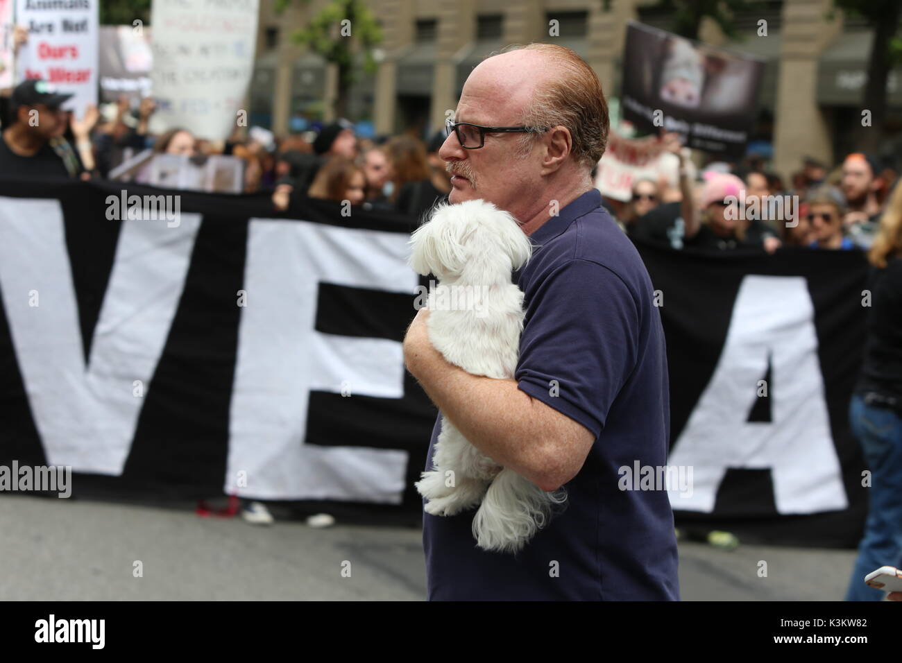 Peta animal testing hi-res stock photography and images - Alamy