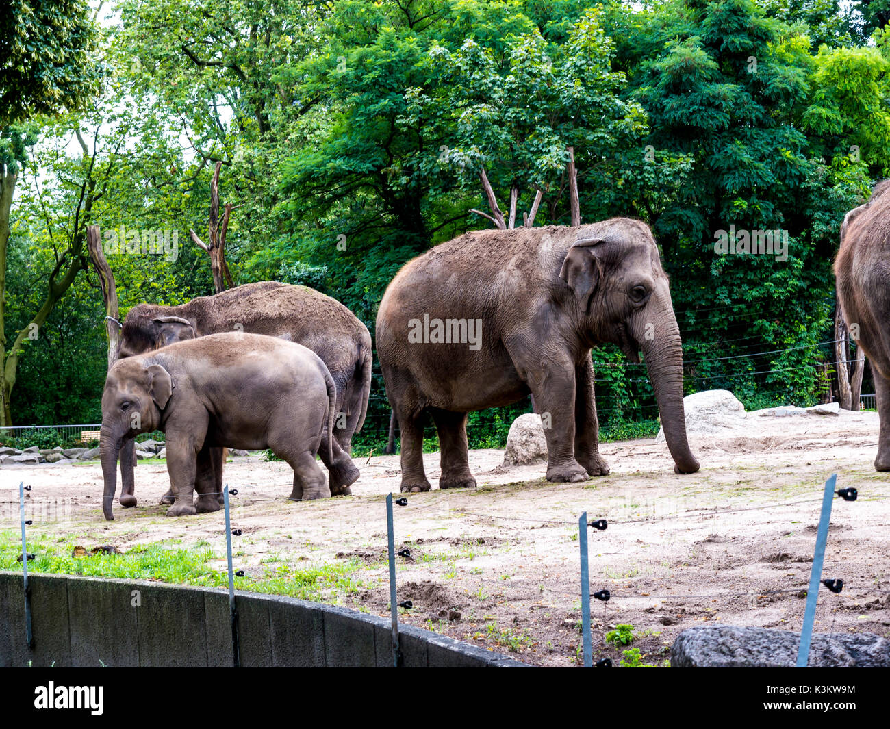 Zoological Gardens and Aquarium in Berlin Germany. The Berlin Zoo is ...