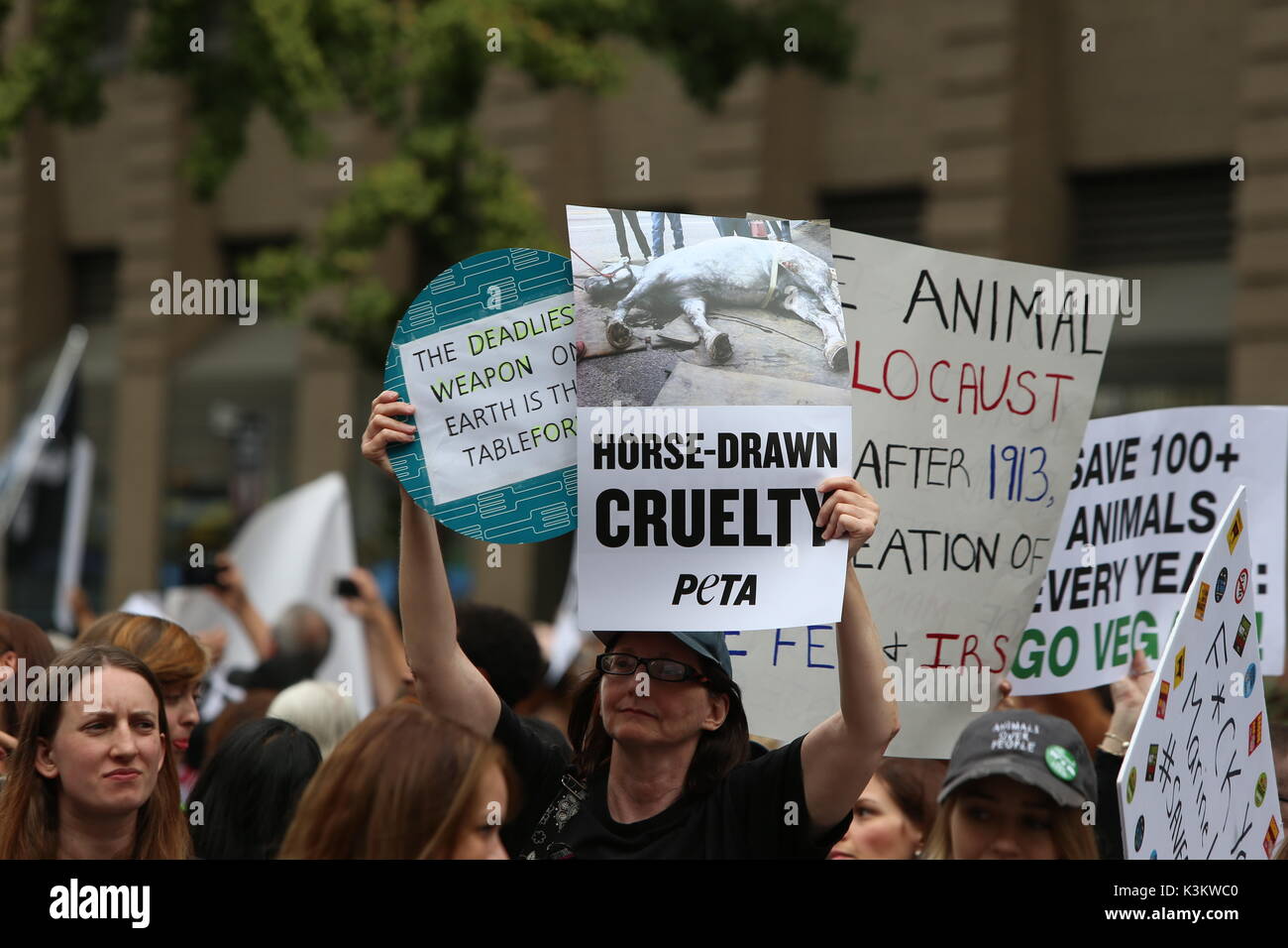 Peta animal testing hi-res stock photography and images - Alamy