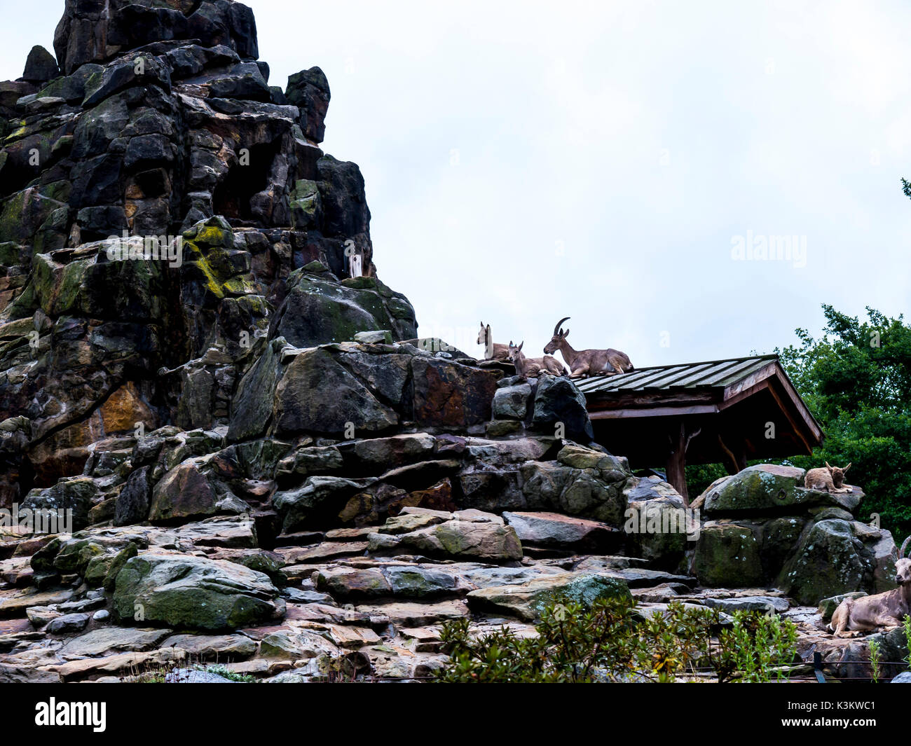 Zoological Gardens and Aquarium in Berlin Germany. The Berlin Zoo is ...