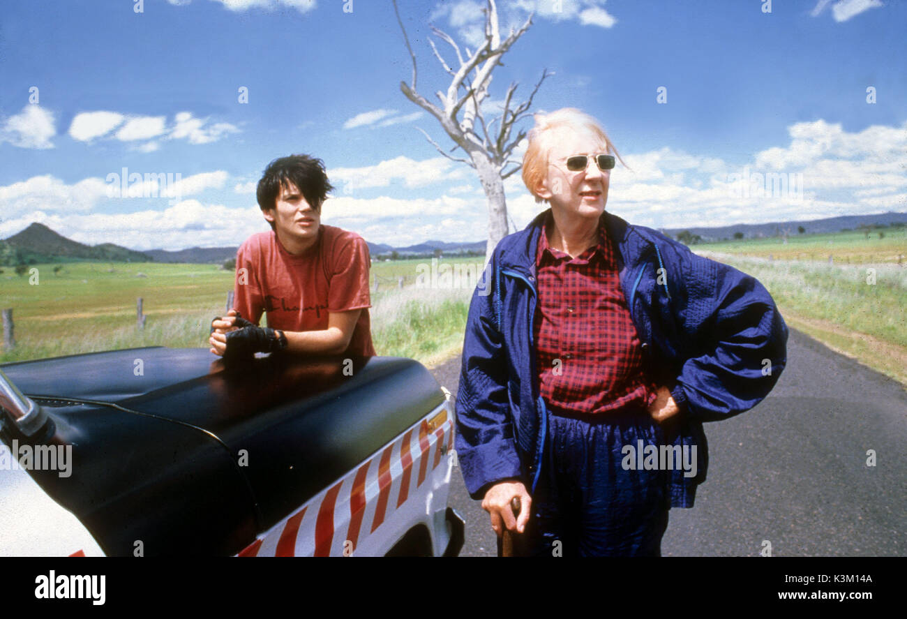 Spider rose hi-res stock photography and images - Alamy