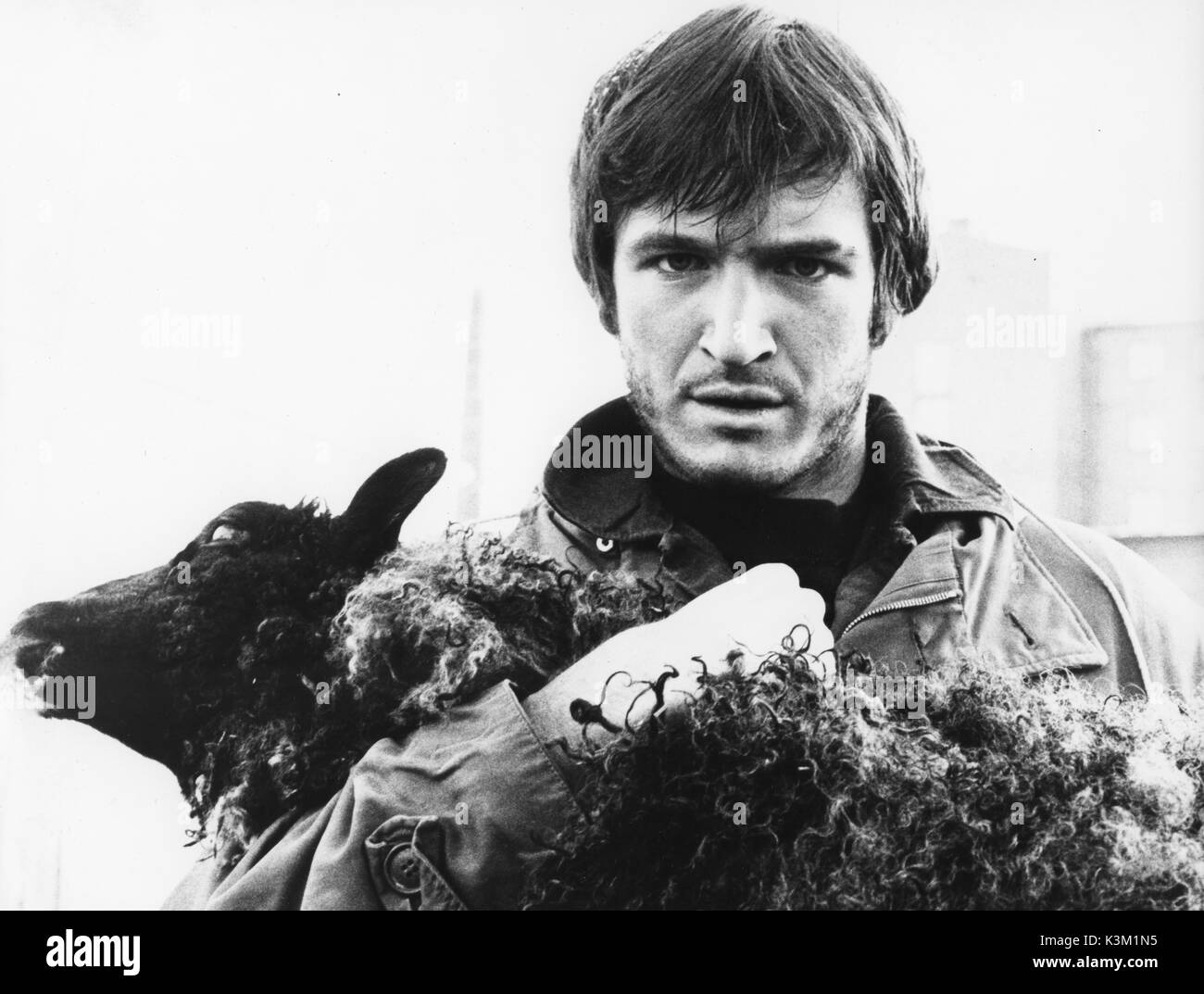 Bekim fehmiu hi-res stock photography and images - Alamy