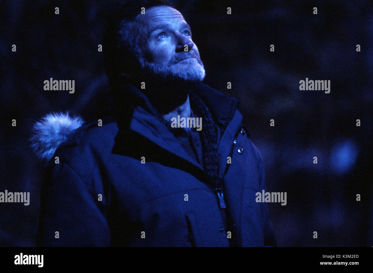 THE NIGHT LISTENER ROBIN WILLIAMS Date: 2006 Stock Photo - Alamy