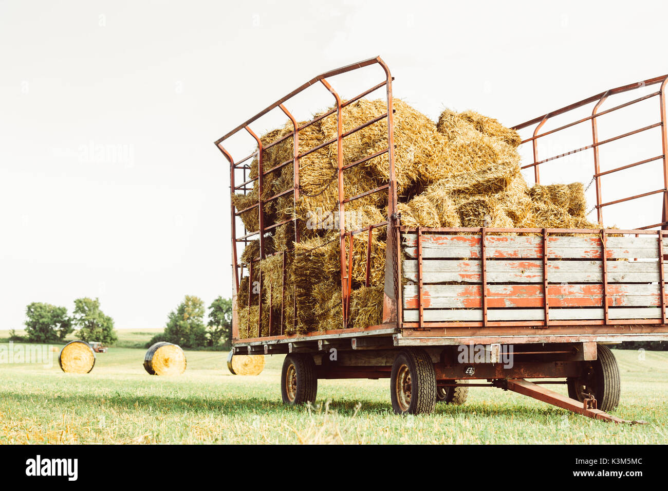 hay, bale, agriculture, straw, haystack Stock Photo - Alamy