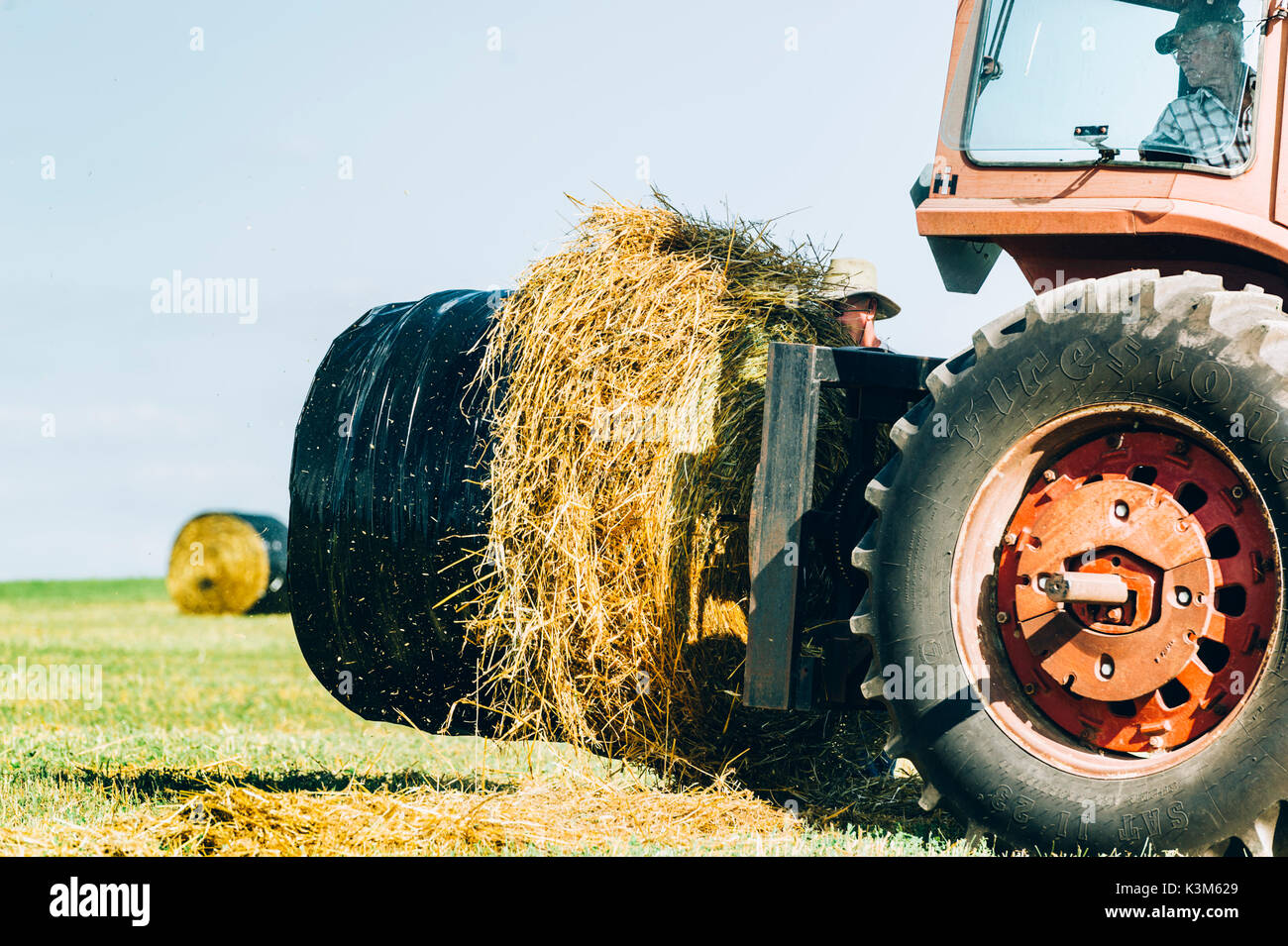 Hauling round bale hay hi-res stock photography and images - Alamy