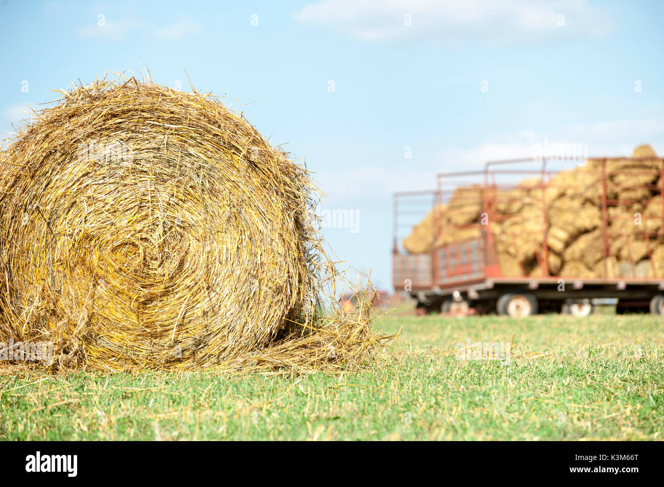 hay, bale, agriculture, straw, haystack Stock Photo - Alamy