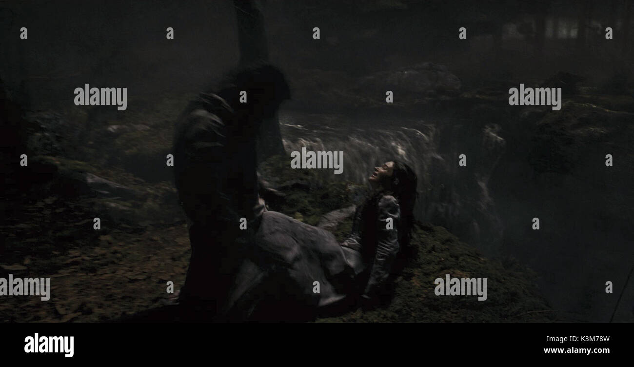 THE WOLFMAN BENICIO DEL TORO, EMILY BLUNT THE WOLFMAN Date: 2010 Stock ...