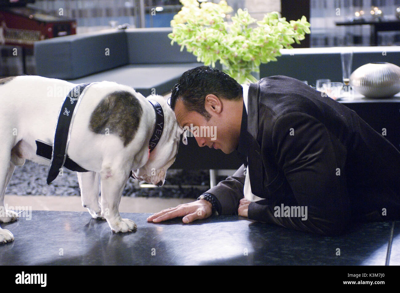 THE GAME PLAN Tubbs, DWAYNE JOHNSON THE GAME PLAN Date: 2007 Stock ...