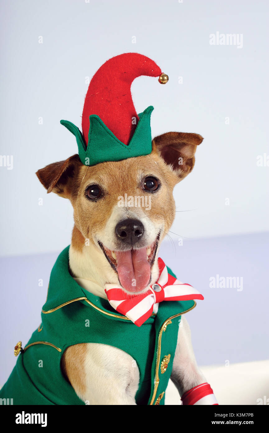 SANTA BUDDIES Date: 2009 Stock Photo - Alamy