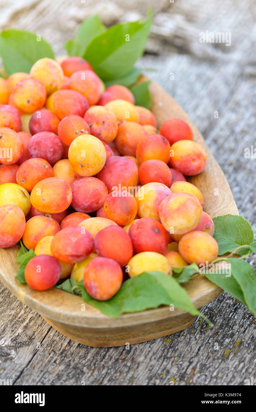Small plums hi-res stock photography and images - Alamy