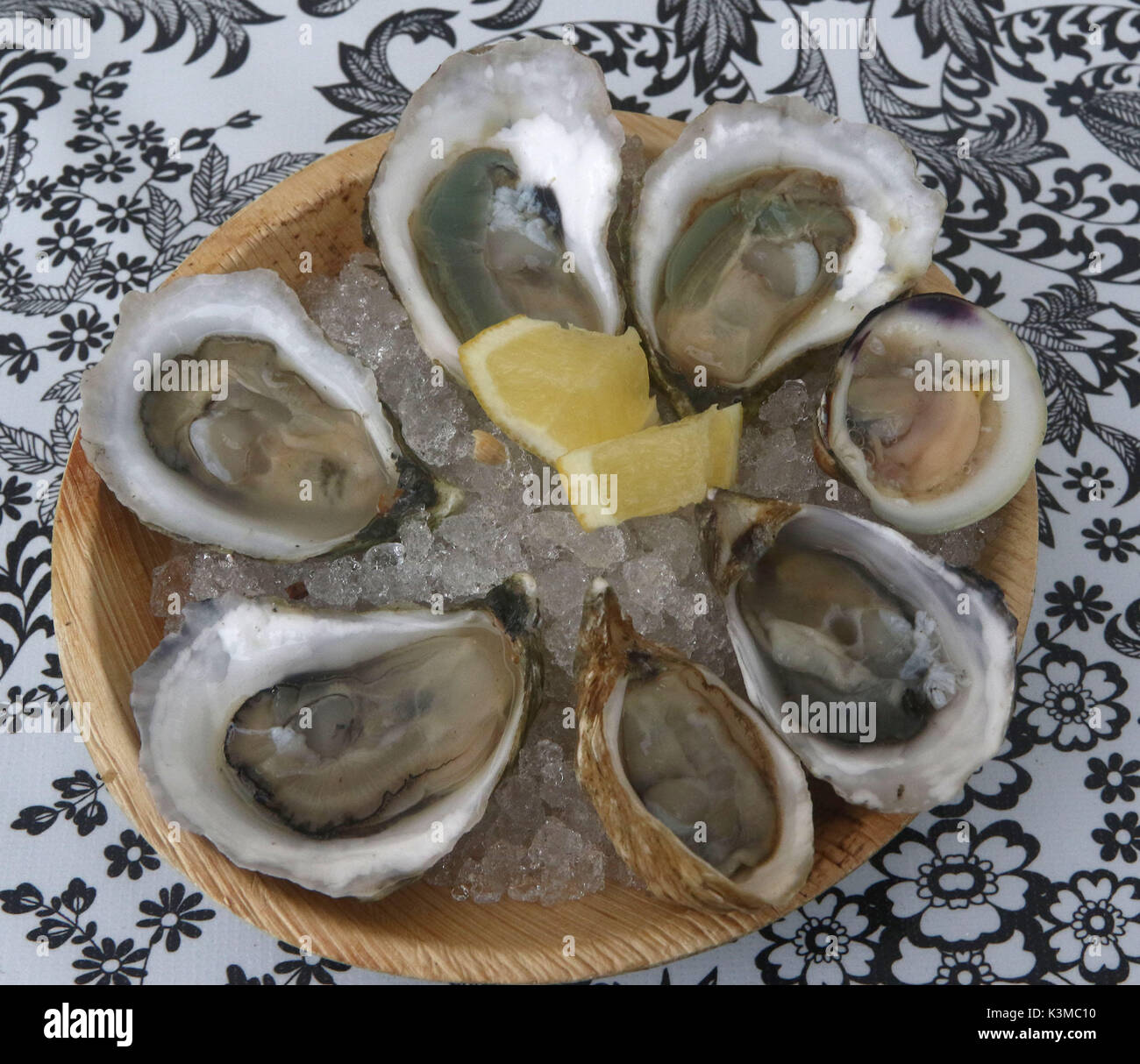 Clam shell bowl hi-res stock photography and images - Alamy