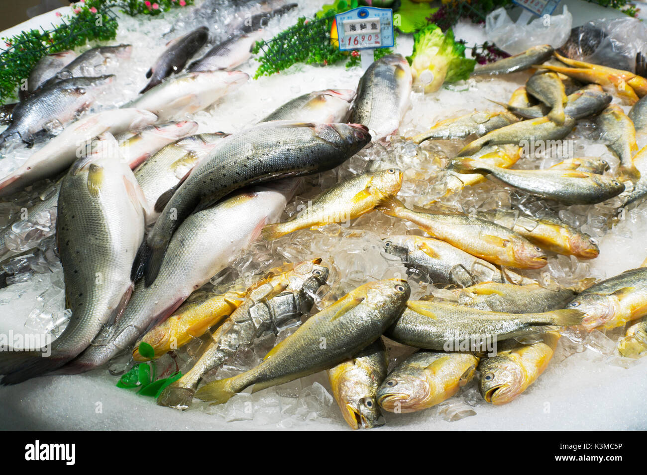 Fish On Ice At the supermarket Market Stock Photo - Alamy