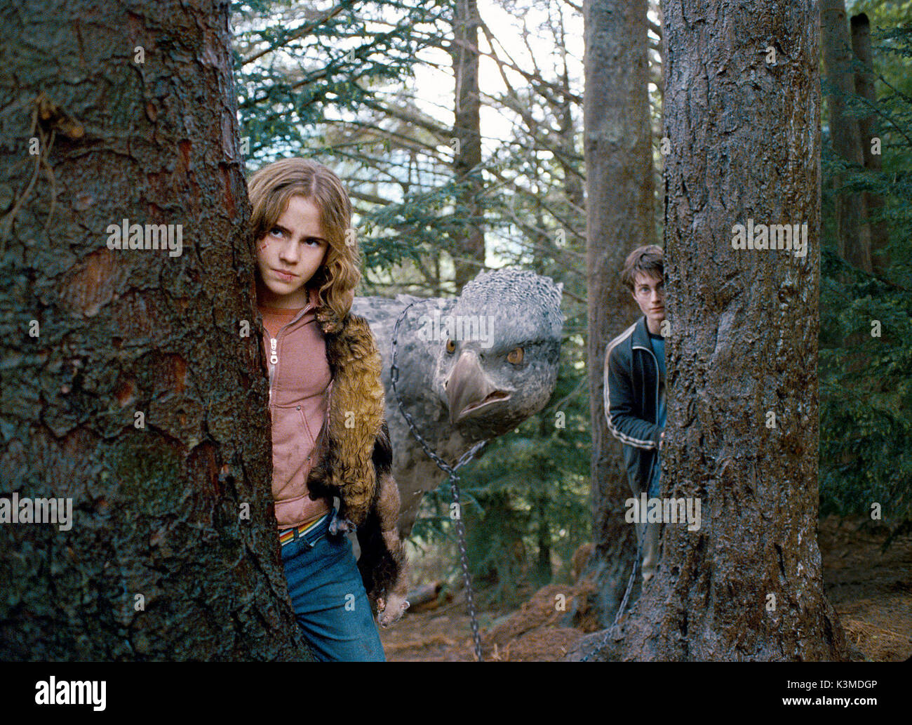 Buckbeak The Hippogriff High Resolution Stock Photography and Images ...