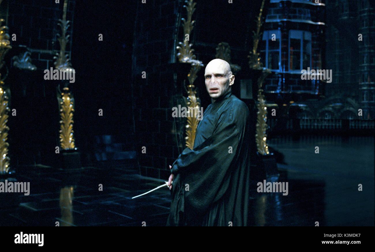 Lord Voldemort Full Body