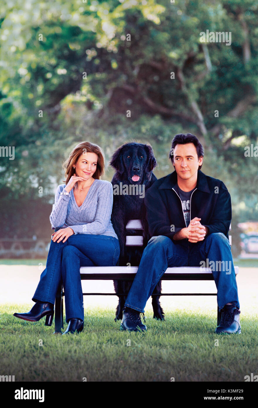 MUST LOVE DOGS [US 2005] DIANE LANE, JOHN CUSACK Date: 2005 Stock Photo ...
