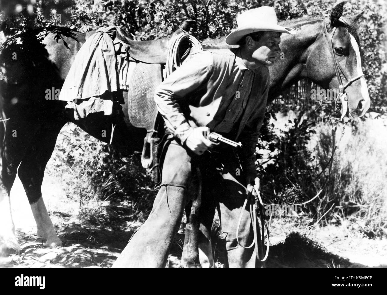 Ramrod hi-res stock photography and images - Alamy