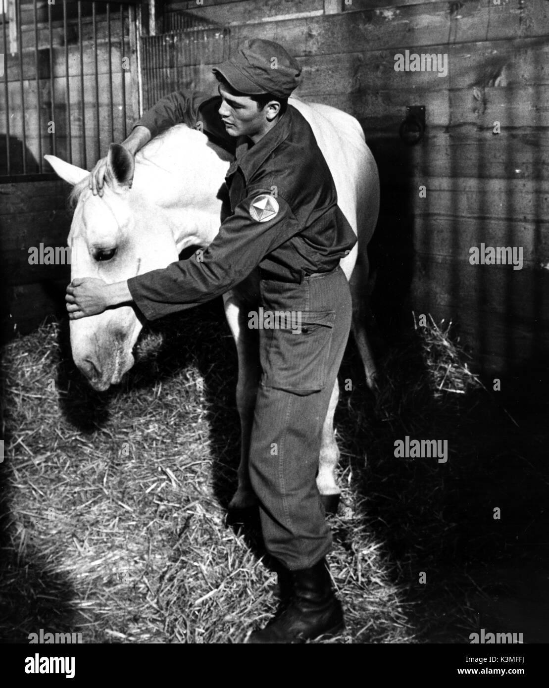 Robert Forster Reflections In A Golden Eye