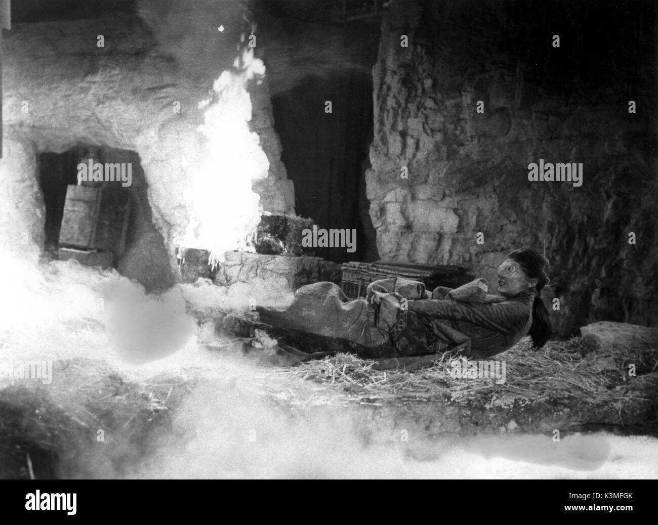 British reptile Black and White Stock Photos & Images - Alamy