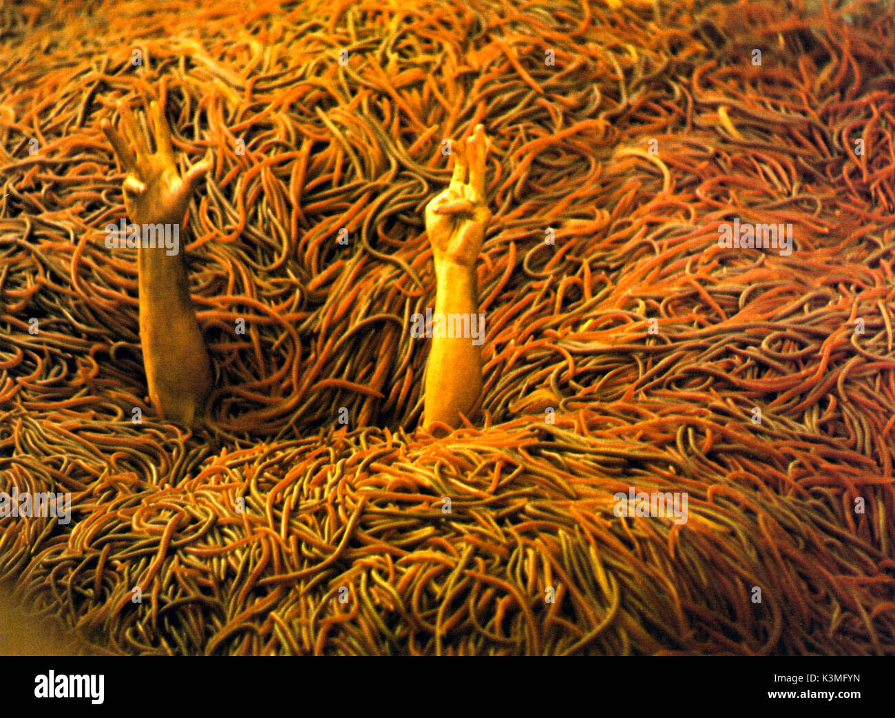 Eaten alive hi-res stock photography and images - Alamy