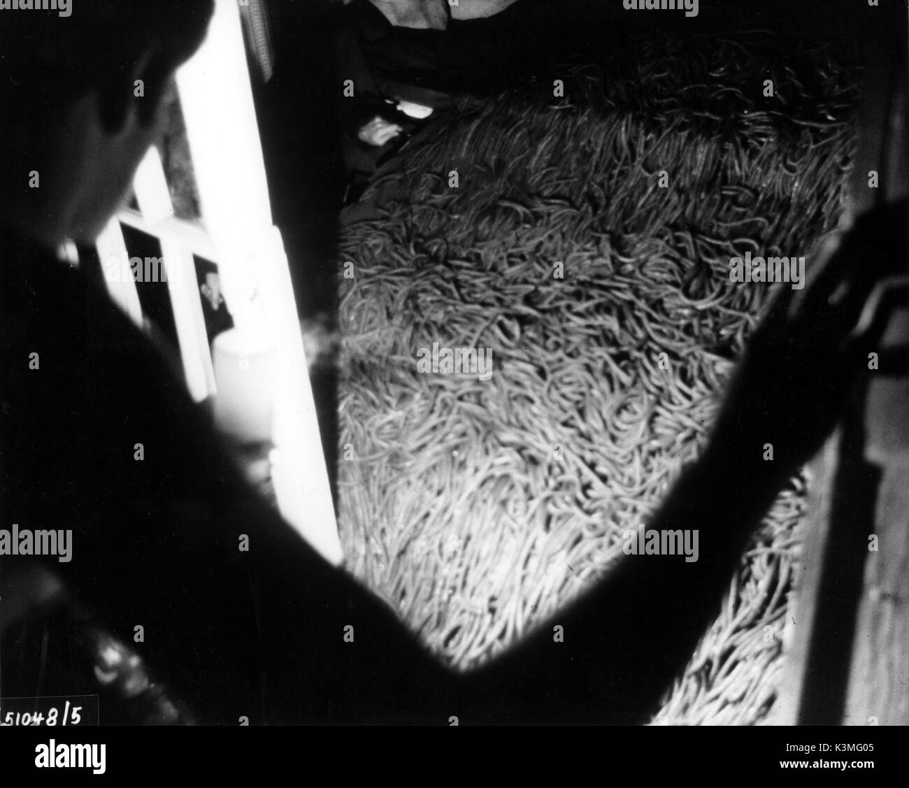 Squirm hi-res stock photography and images - Alamy