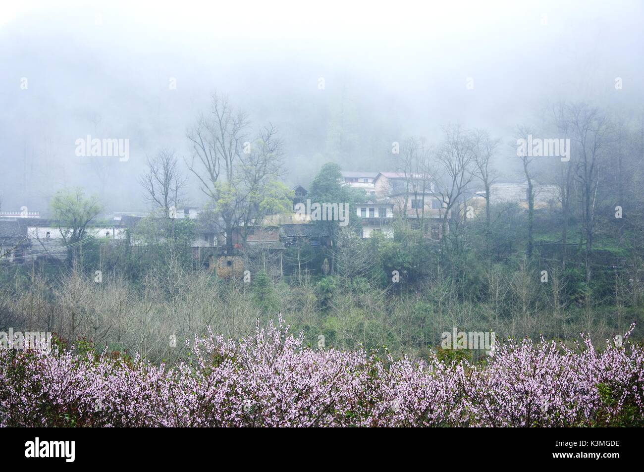 The colorful countryside scenery in the mist Stock Photo - Alamy
