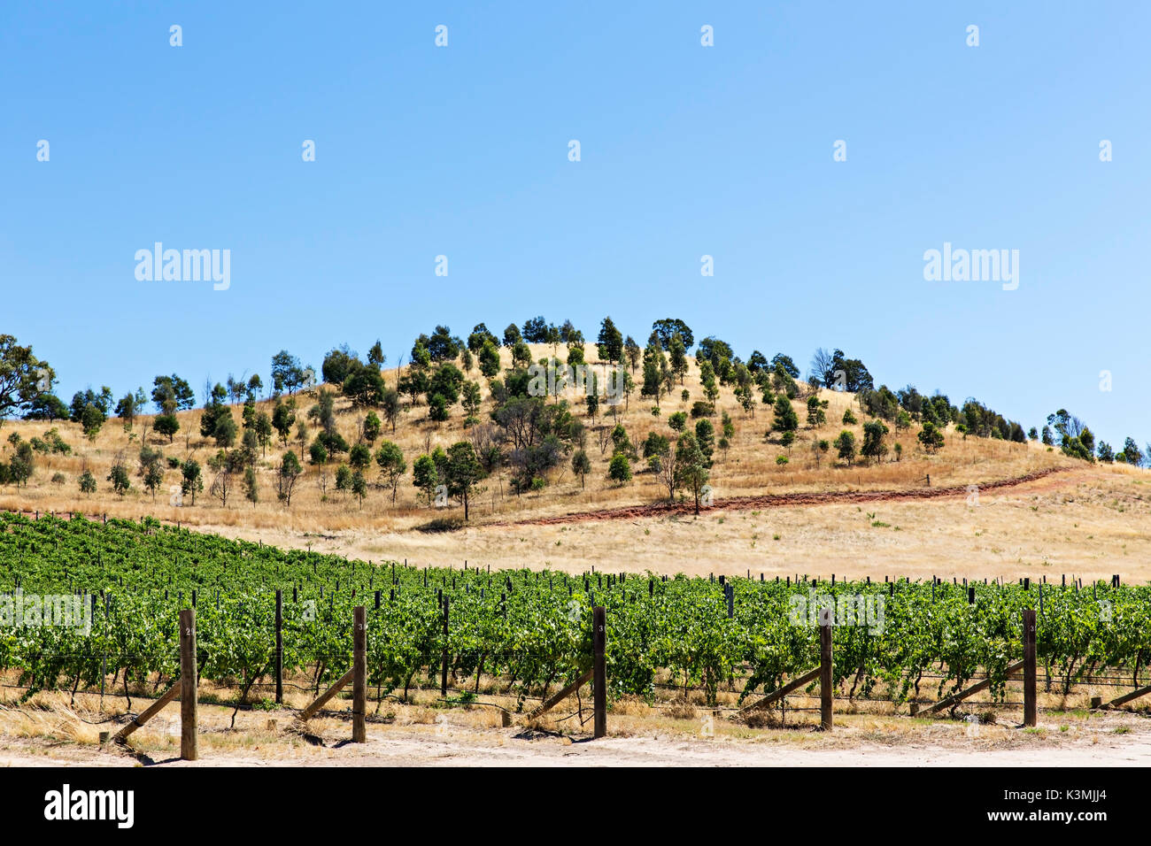 Alcohol production hi-res stock photography and images - Alamy
