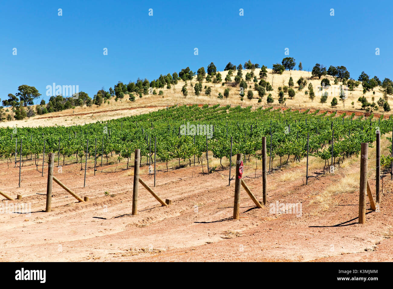 Australian wine region hi-res stock photography and images - Alamy