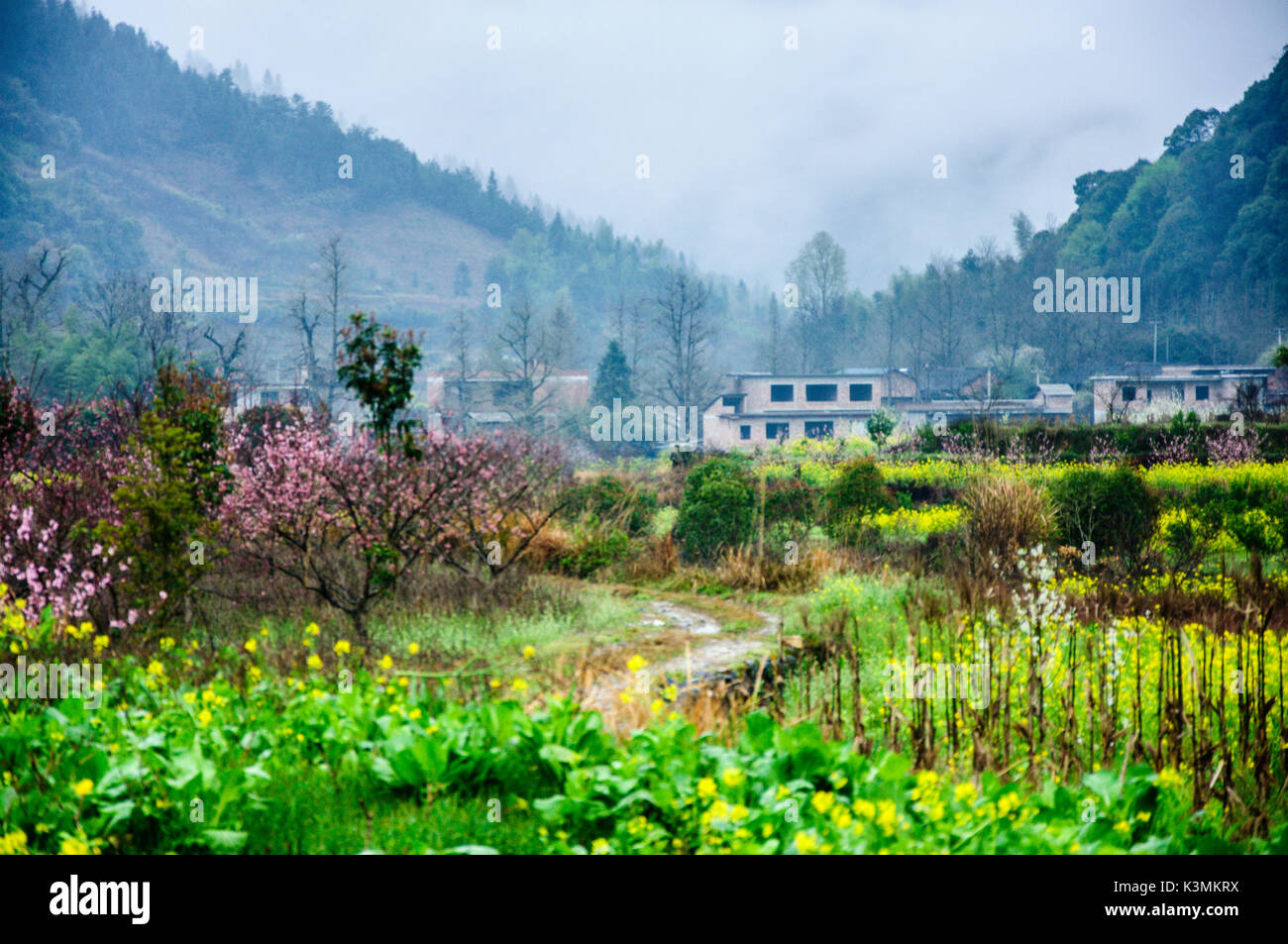 The colorful countryside scenery in the mist Stock Photo - Alamy