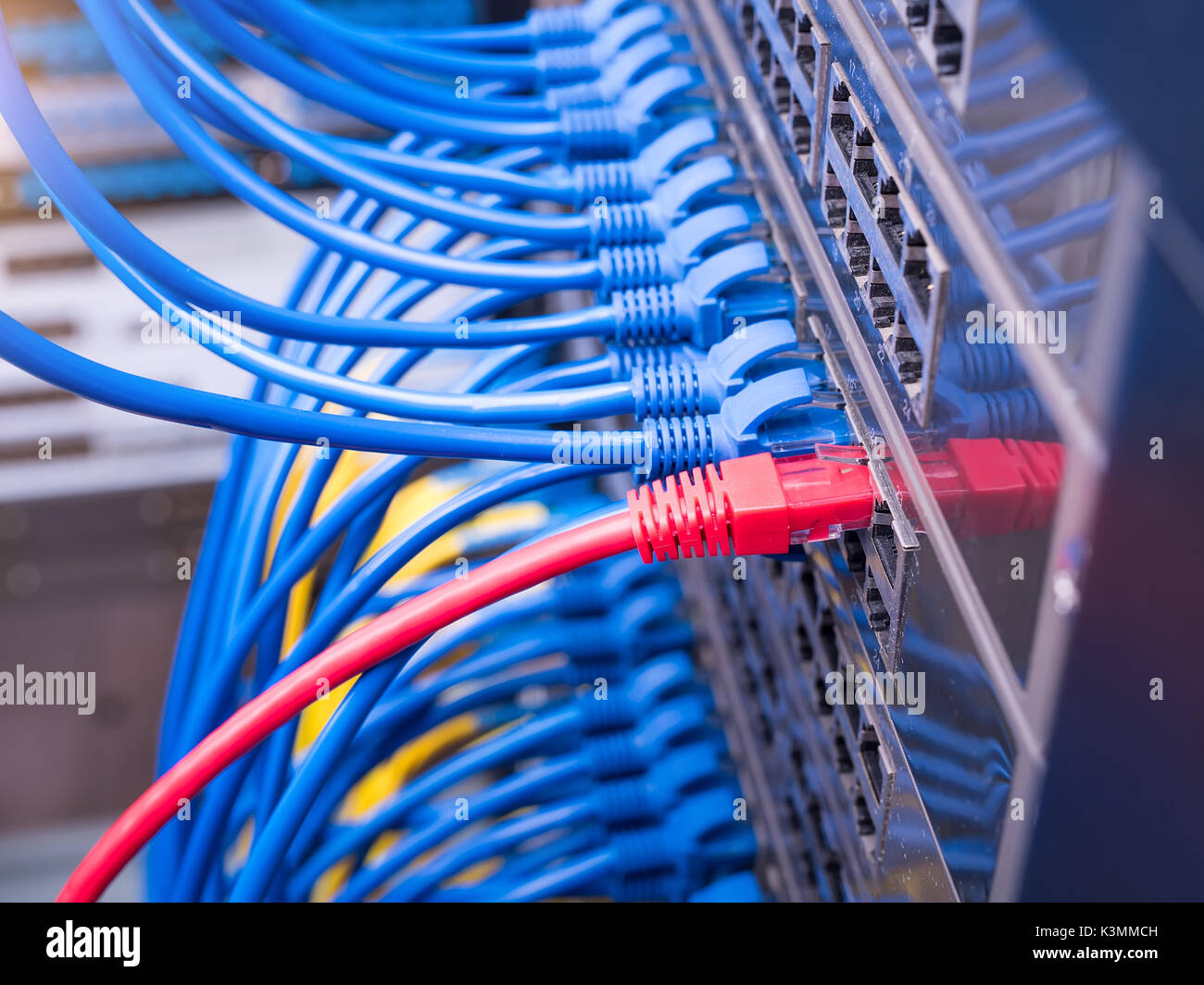 ethernet cable on network switches background Stock Photo - Alamy