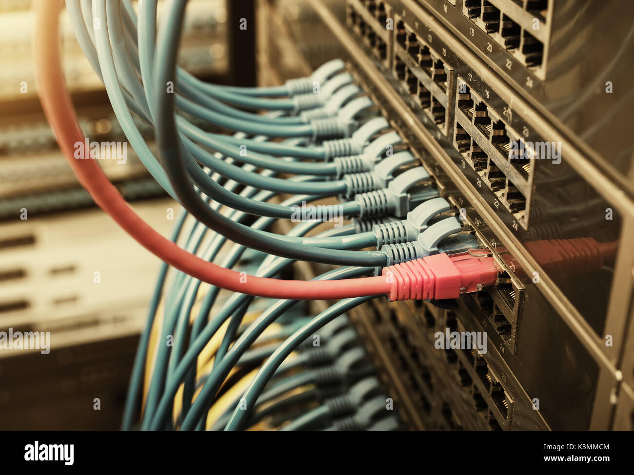 ethernet cable on network switches background Stock Photo - Alamy