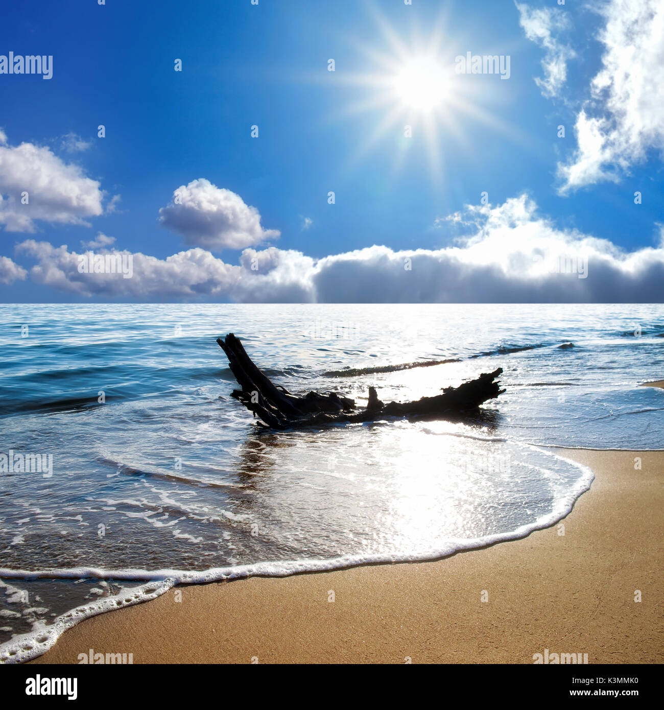 seascape image of dried tree trunk on beach over sunny sky Stock Photo ...