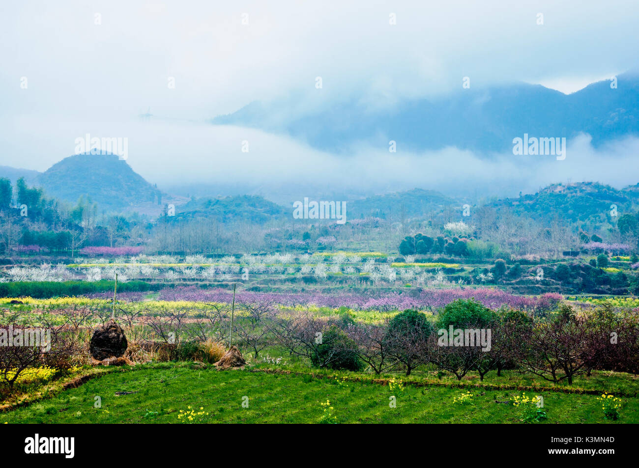 The colorful countryside scenery in the mist Stock Photo - Alamy
