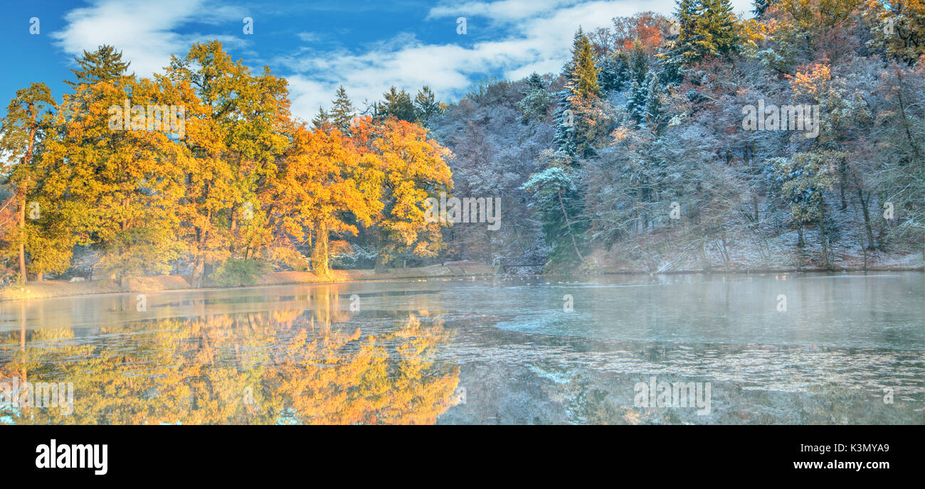 Beautiful colored trees with lake in autumn, landscape photography. Late autumn and early winter ...