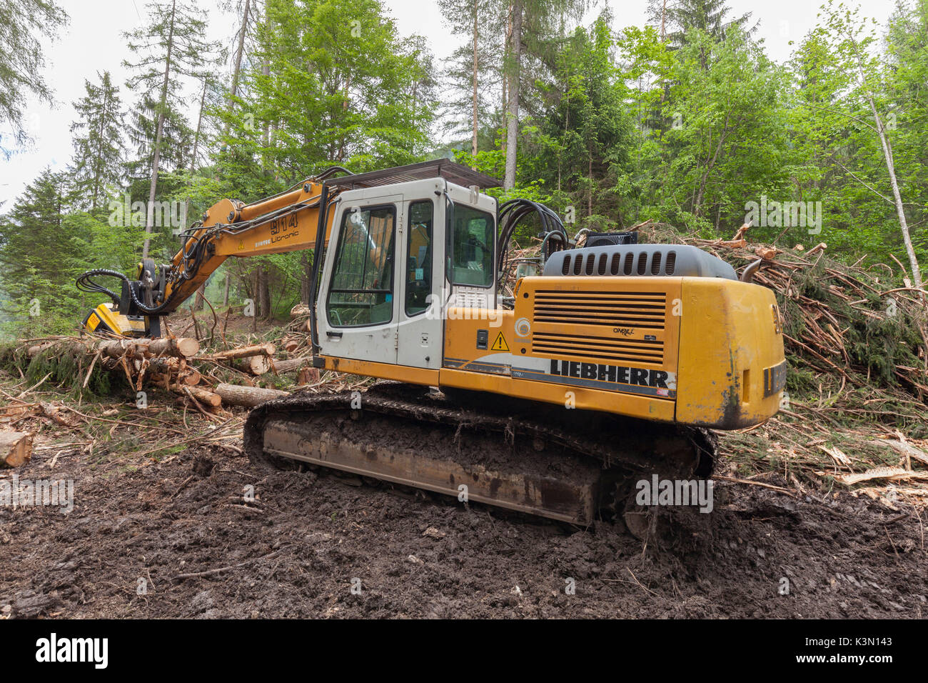 Excavator in the wood used in the processing of timber. Dolomites ...