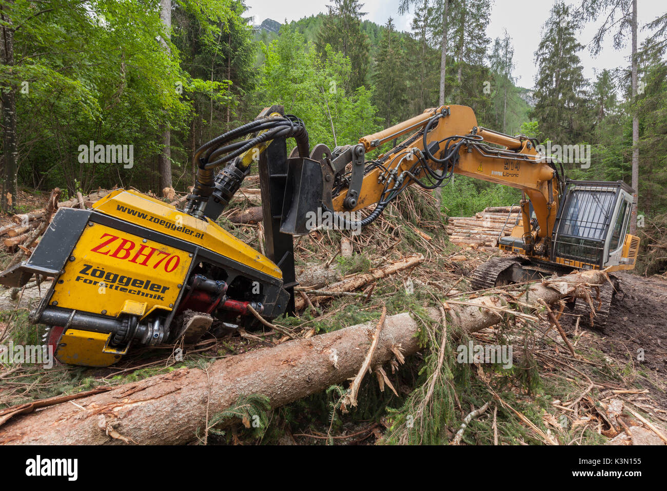 Timber processing hi-res stock photography and images - Alamy