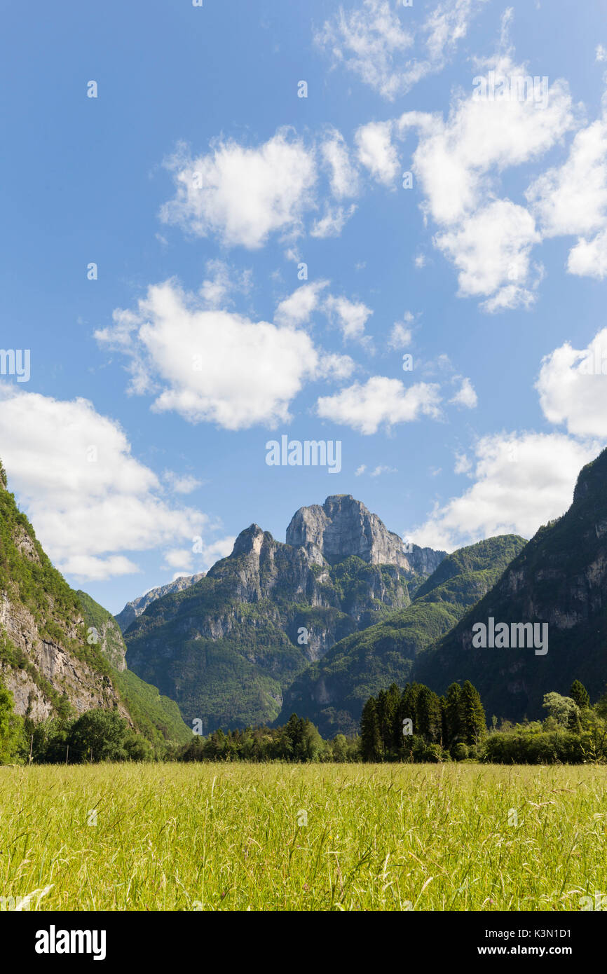 Dolomitipark hi-res stock photography and images - Alamy