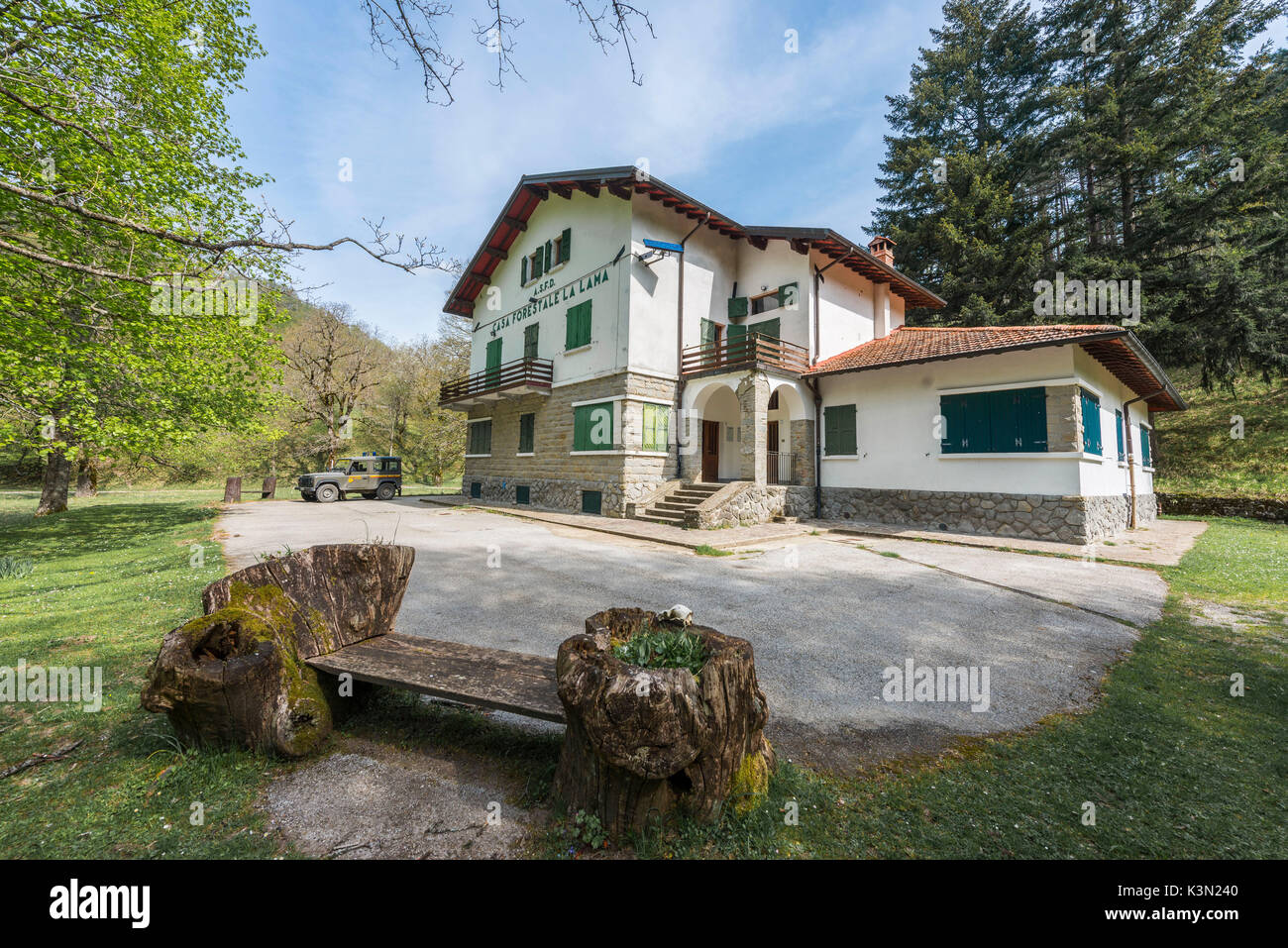 Spring forests hi-res stock photography and images - Alamy