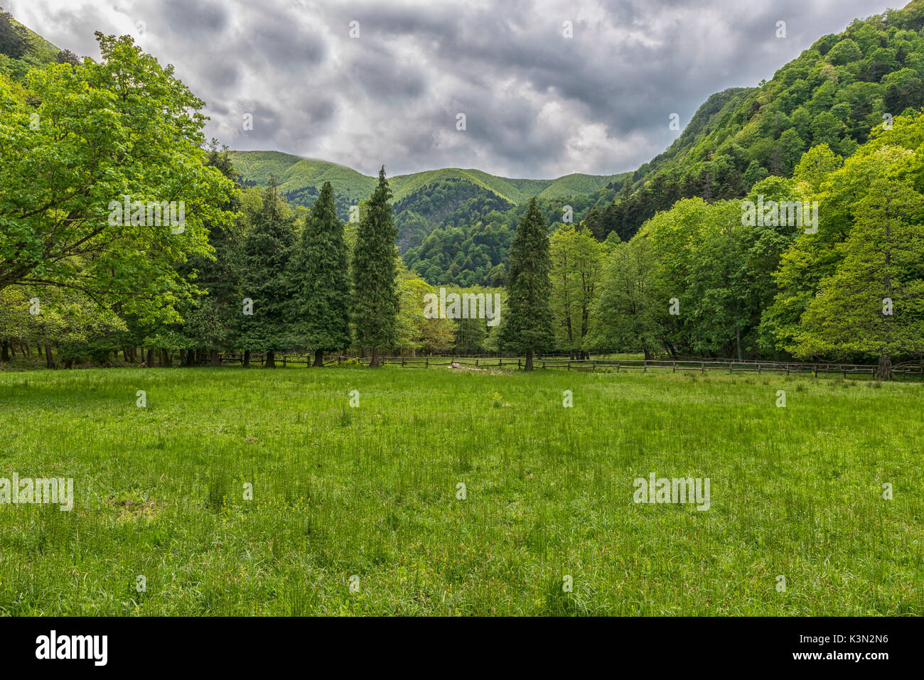 La lama forest hi-res stock photography and images - Alamy
