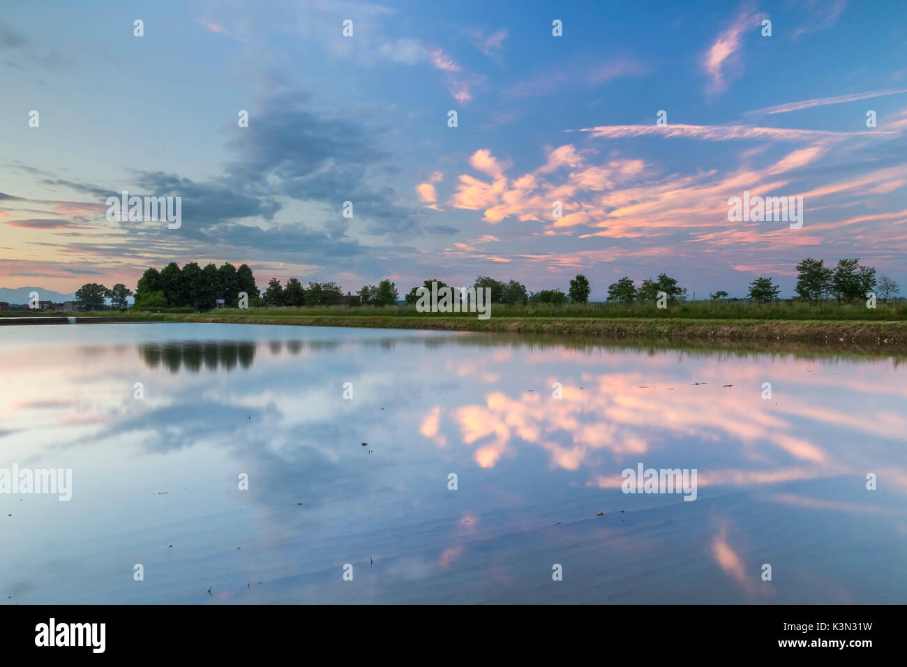 Rice paddy italy hi-res stock photography and images - Alamy