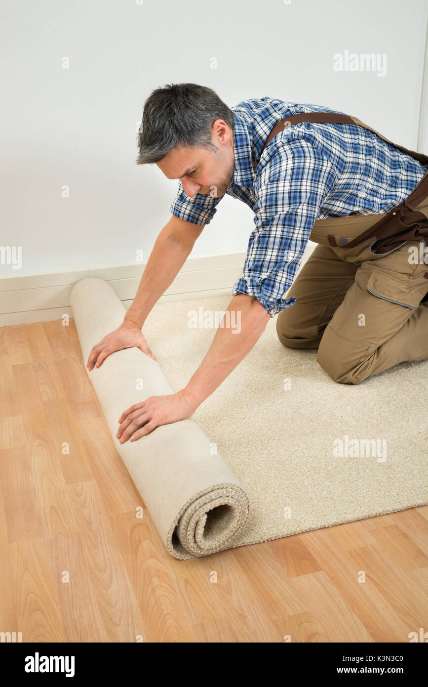 Construction worker remodeling home carpenter hi-res stock photography ...