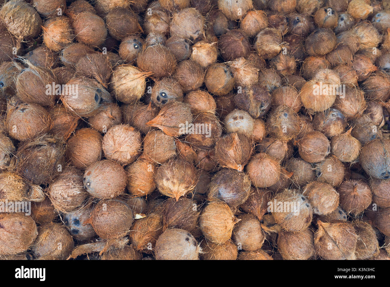 Mekong Delta, Southern Vietnam. Coconut factory Stock Photo - Alamy
