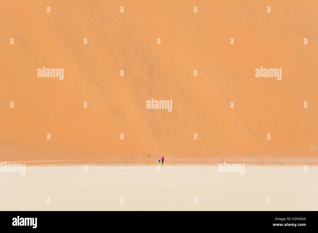 Deadvlei, Namib desert, Namibia, Africa. Dead acacia pan Stock Photo ...
