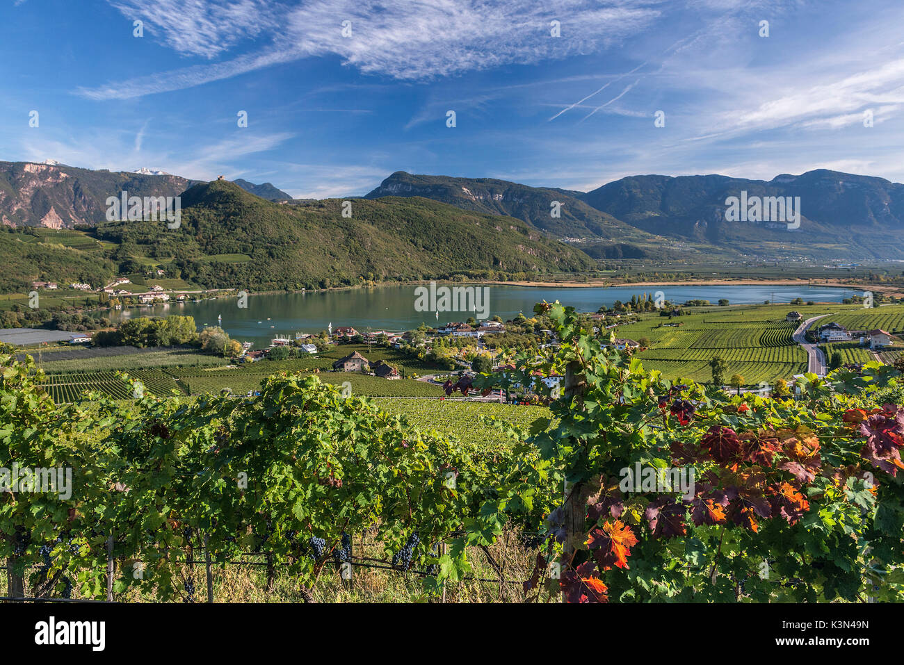 Landscape of caldaro lake and vines hi-res stock photography and images ...