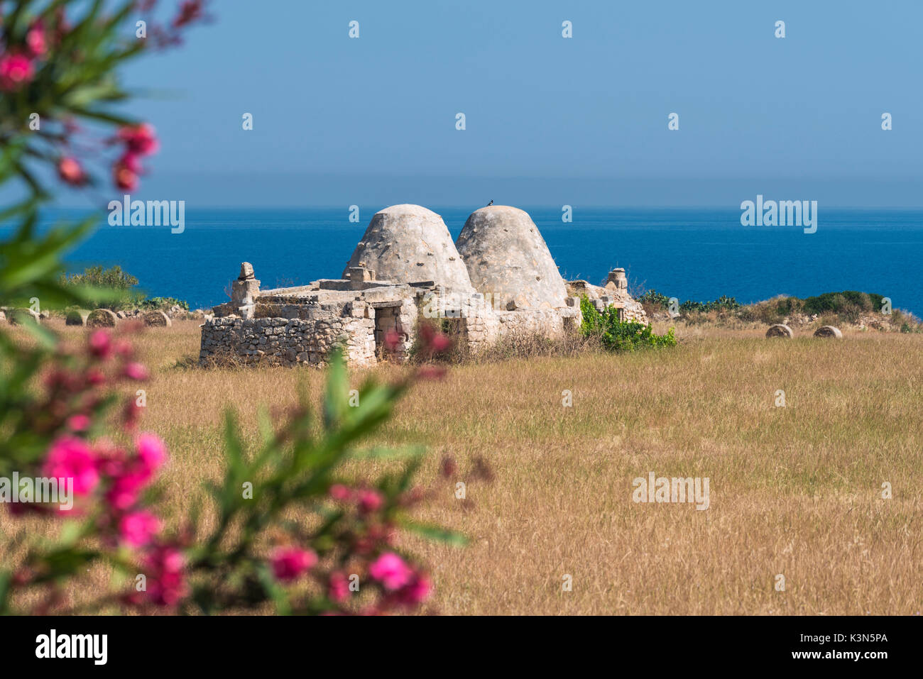 Cozze, Mola di Bari, province of Bari, Apulia, Italy. Traditional ...