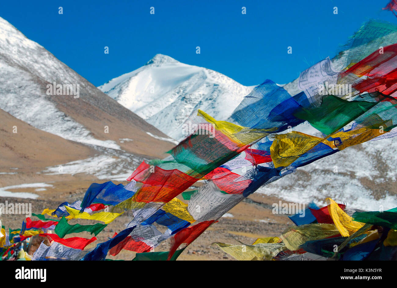 Tibetan flags on "small Tibet", Himalaya, Ladakh, India Stock Photo - Alamy