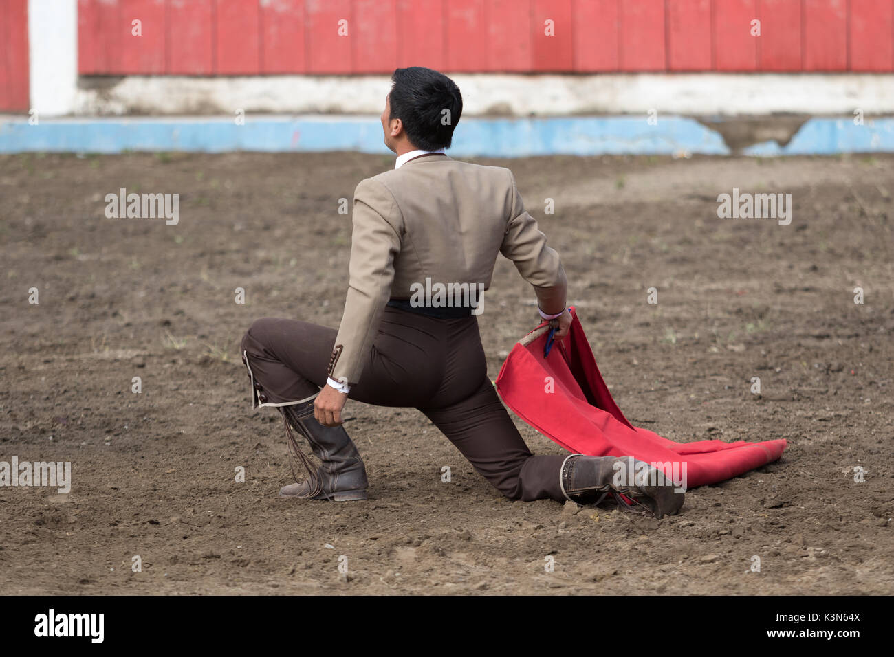 bullfighter kneeling in the arena Stock Photo - Alamy