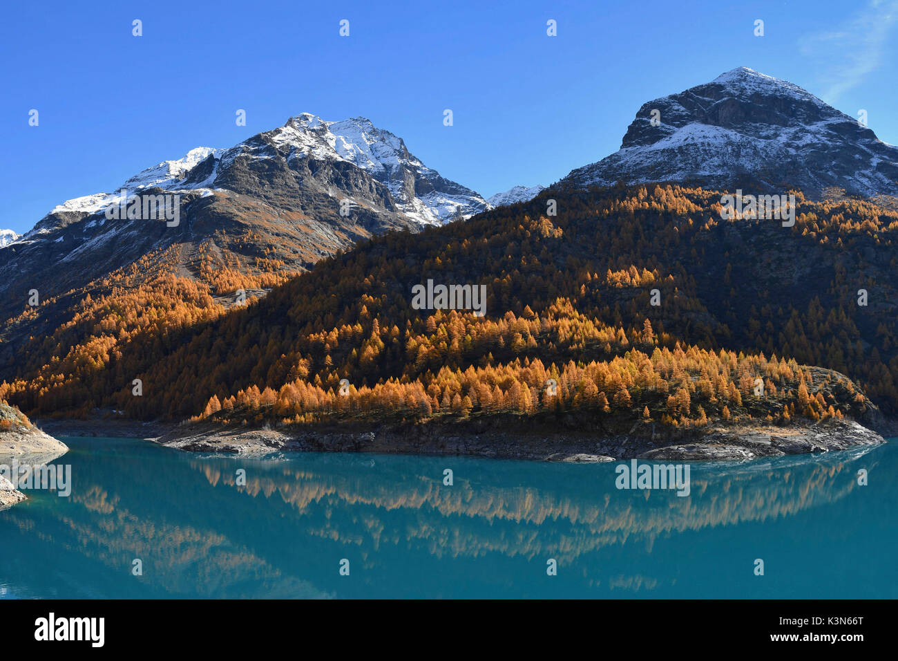 Lit tree hi-res stock photography and images - Alamy
