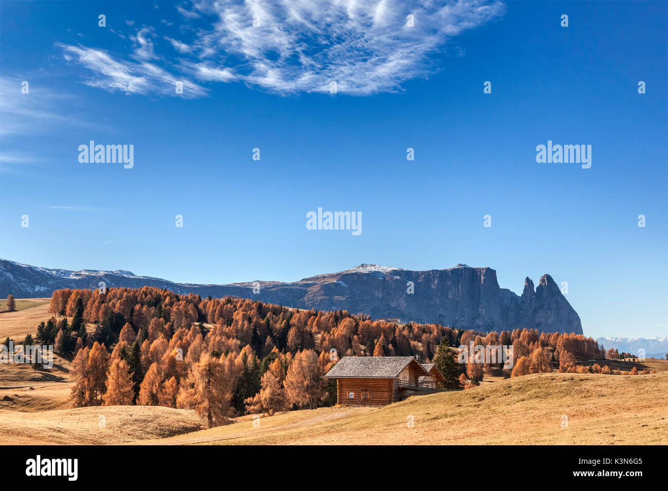 Europe, Italy, South Tyrol, Alpe di Siusi - Seiser Alm. Autumn colors ...