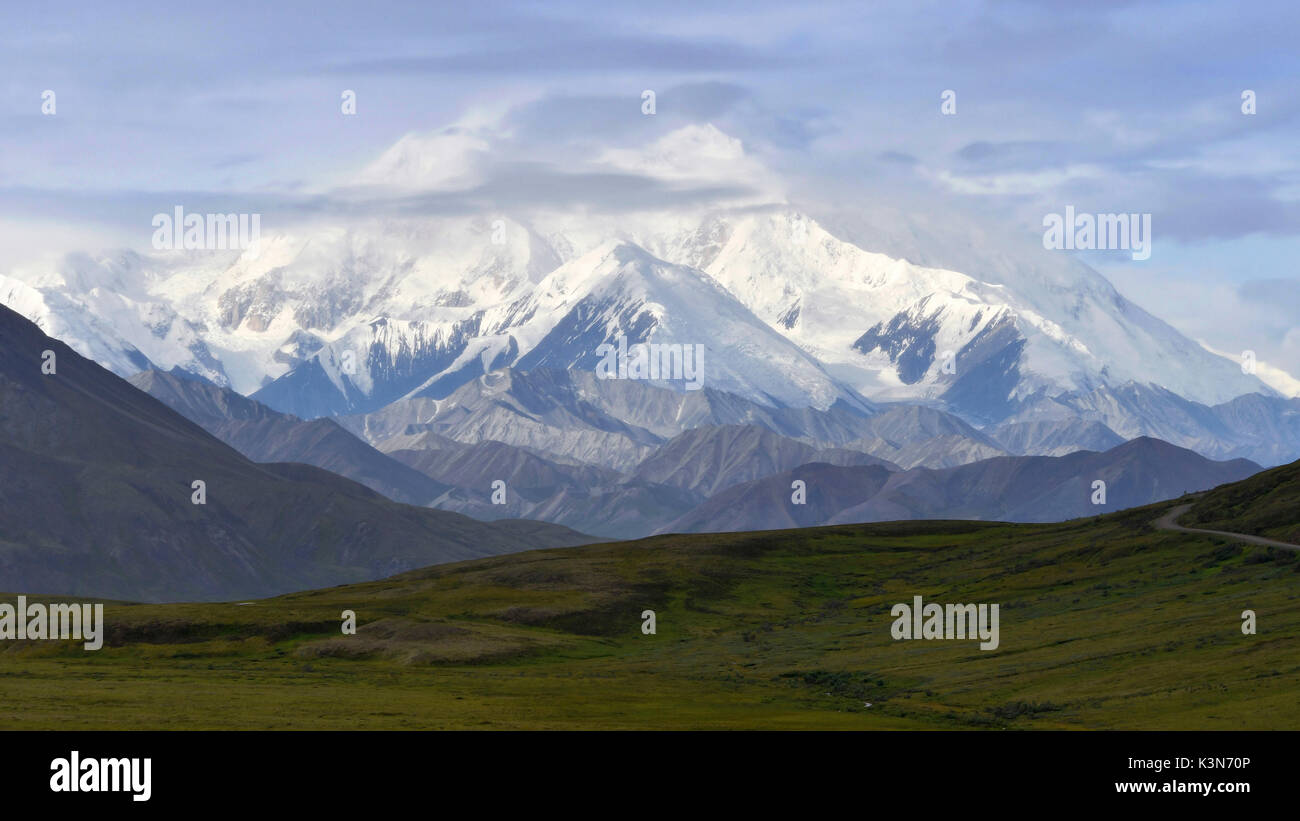 Denali national park summer hi-res stock photography and images - Alamy