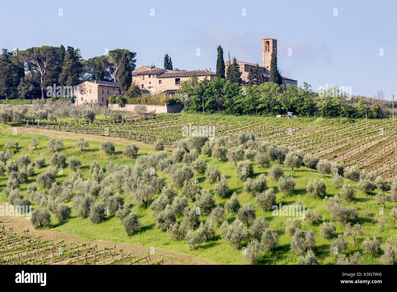 Farmhouse with vineyards and olive grove in Monteoliveto. Orcia Valley ...